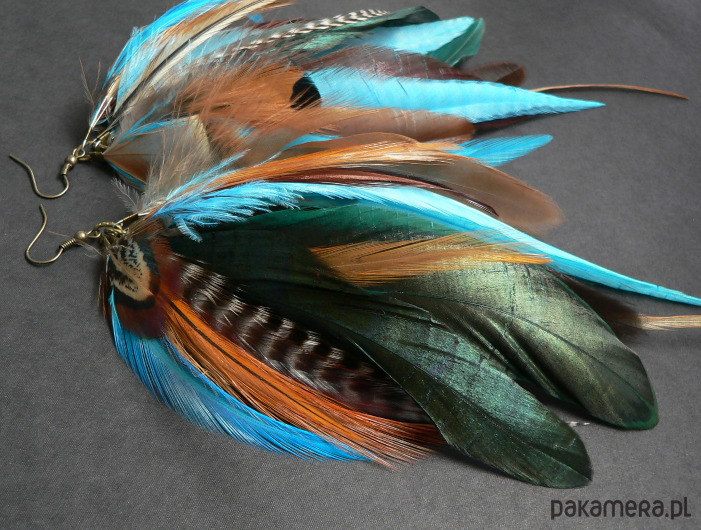 Pióra indianka 3466756 - Pakamera.pl