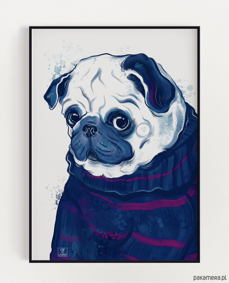 Plakat - Mopsik w Swetrze - Pakamera.pl