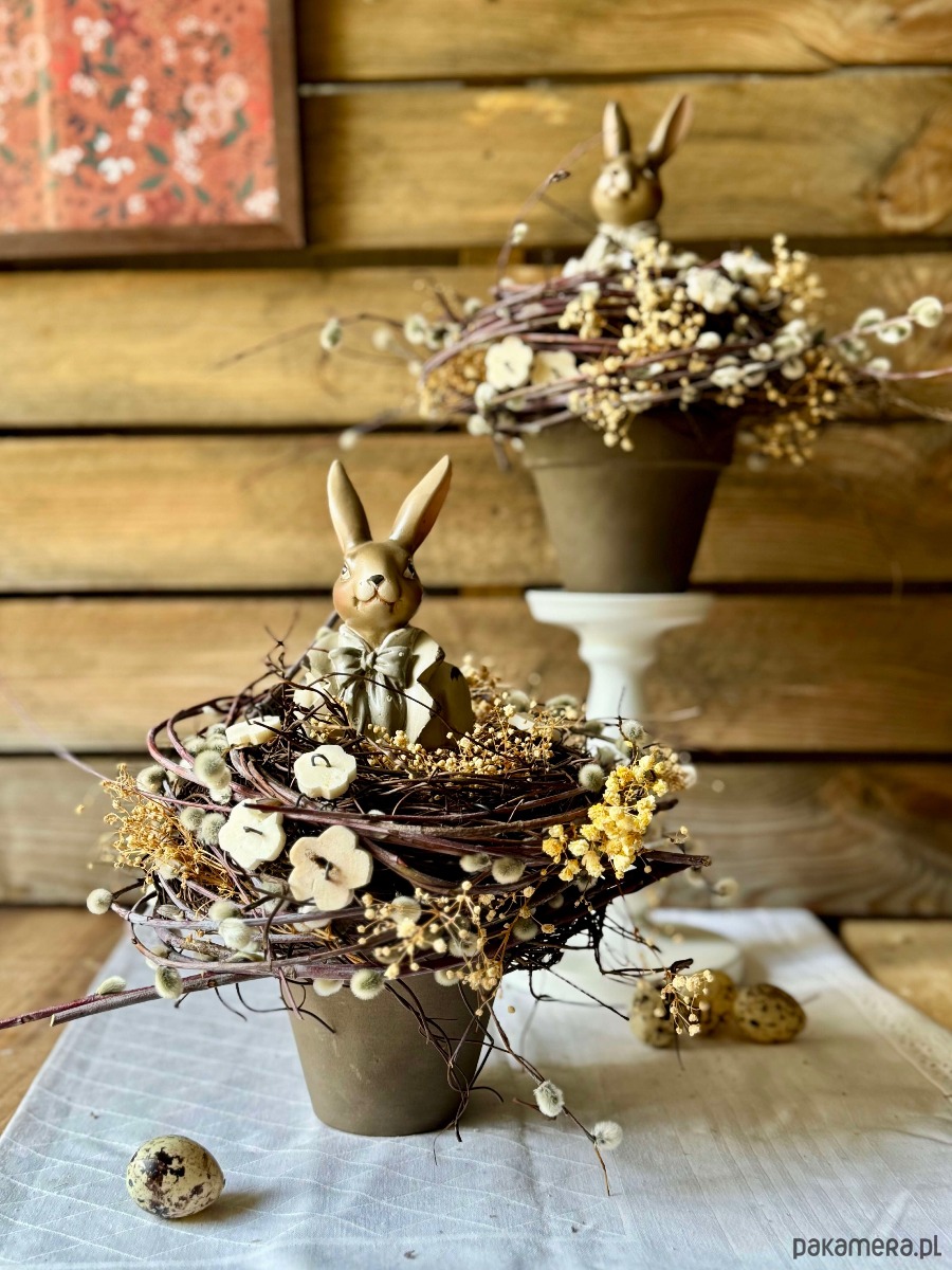 Kompo Zenon Zajączkowski - Pakamera.pl