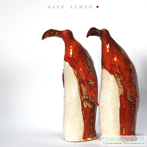 Ping Gwin - Pakamera.pl