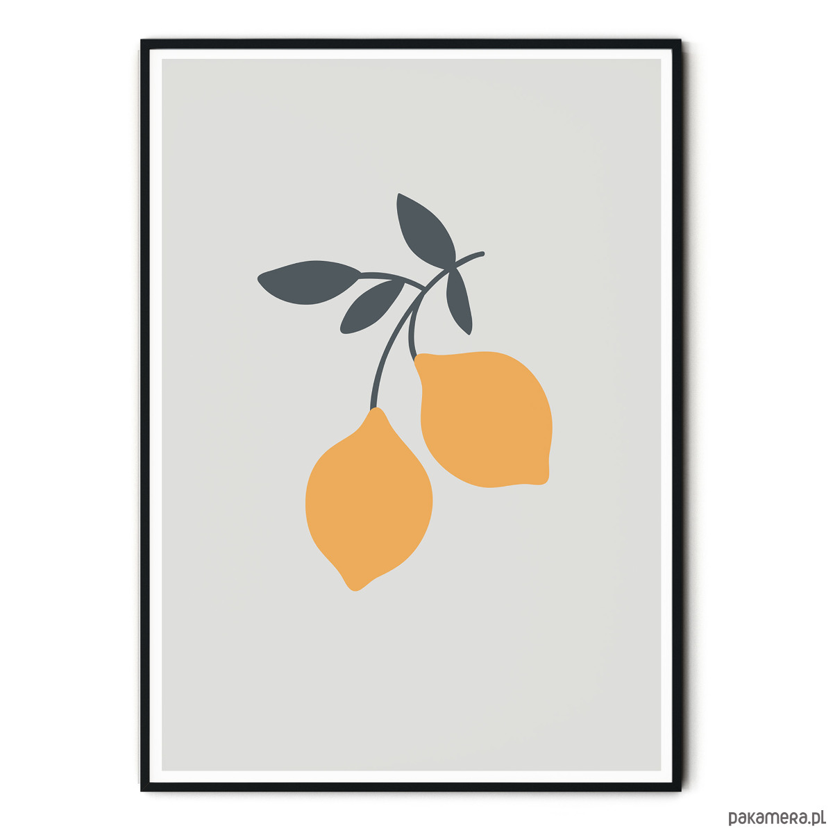 Plakat dla dzieci montessori Cytryny - Archiwum - Pakamera.pl