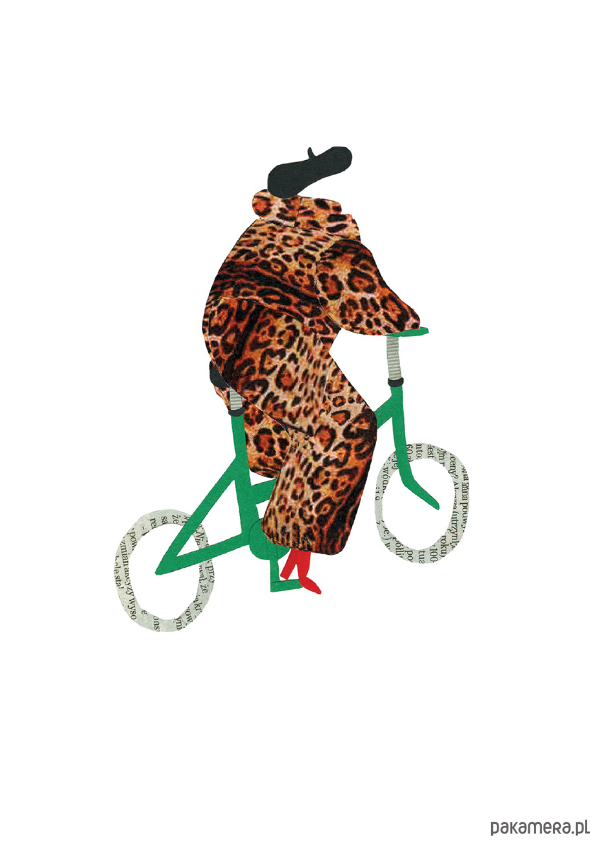 Plakat BABA NA ROWERZE - Pakamera.pl