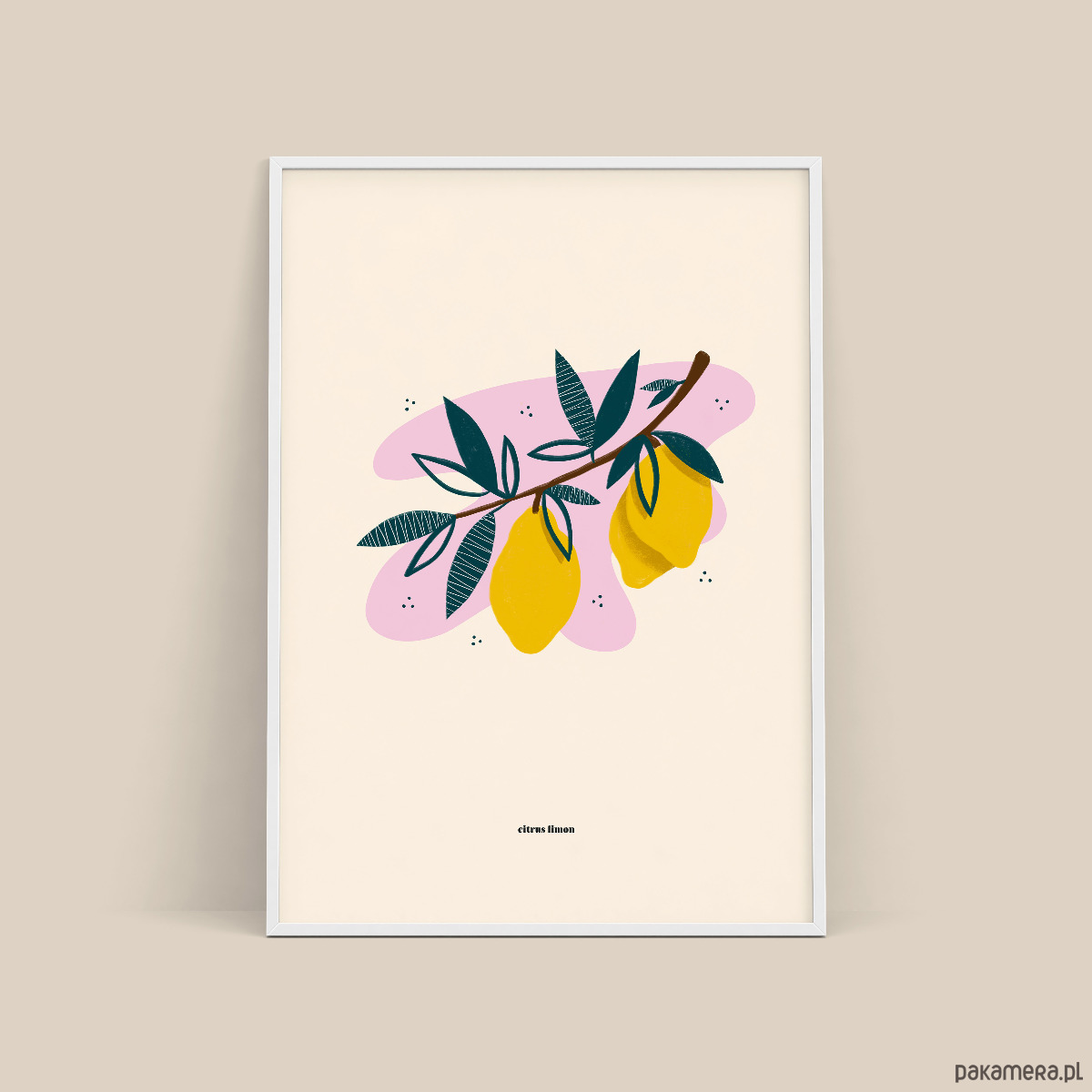 plakat / cytryny / b2 - Archiwum - Pakamera.pl