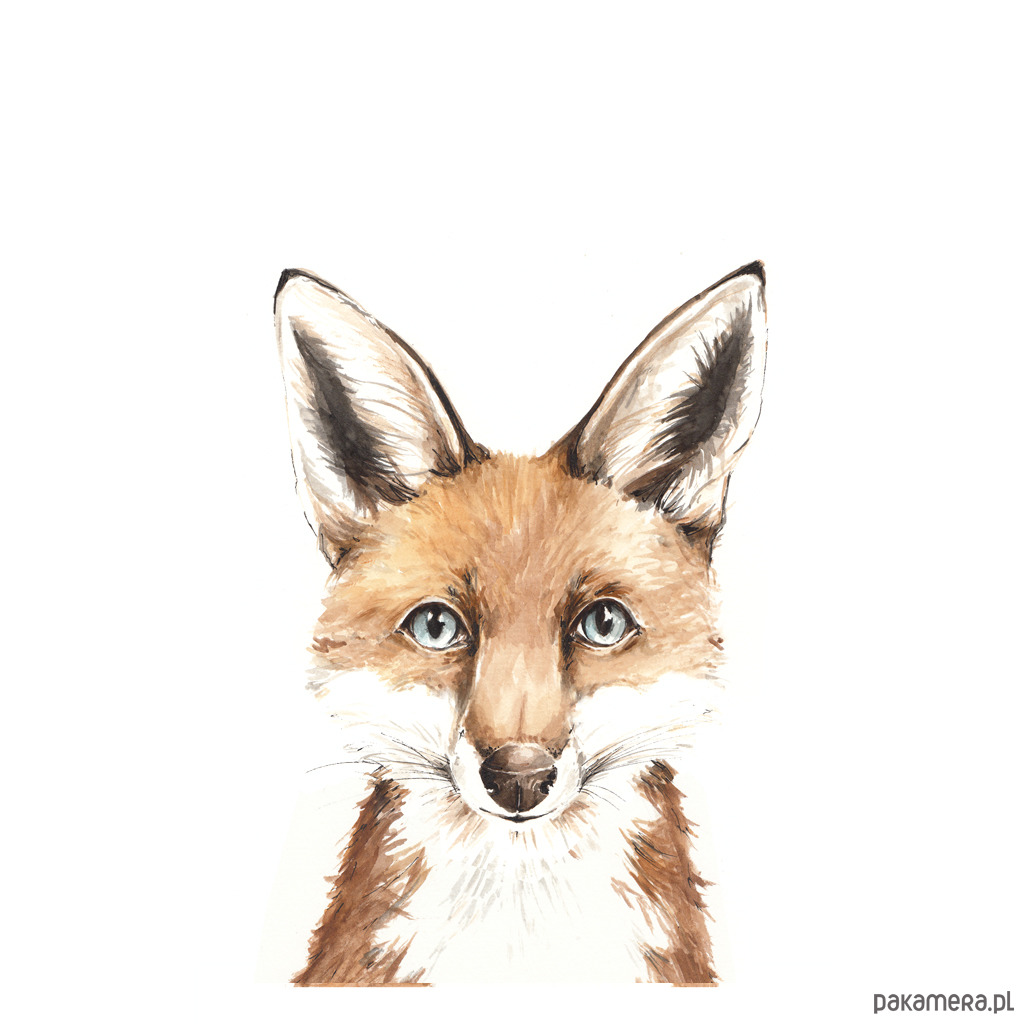 Obrazek "Lisek" - Pakamera.pl