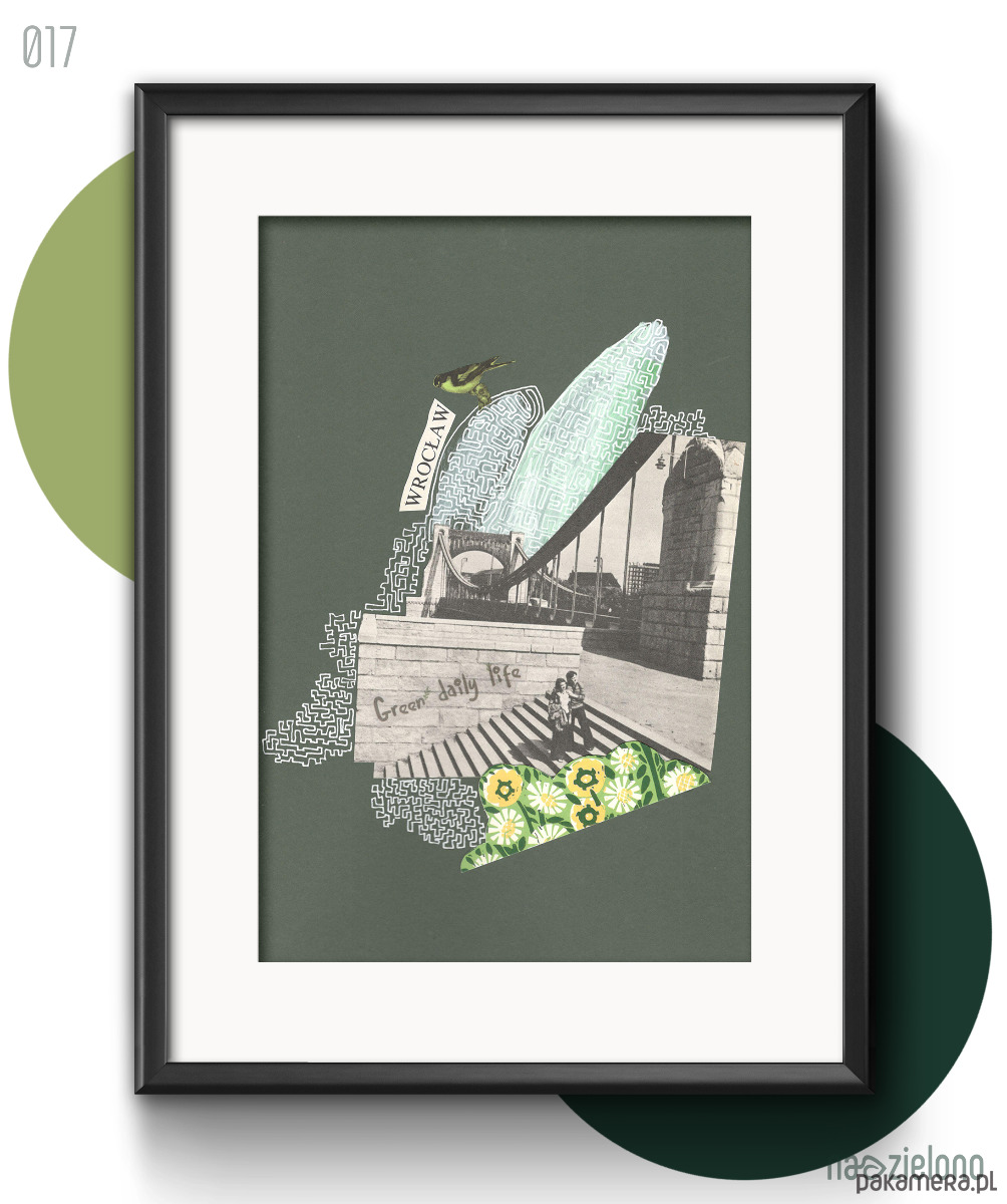 Wrocław na zielono - kolaż A4 - Archiwum - Pakamera.pl